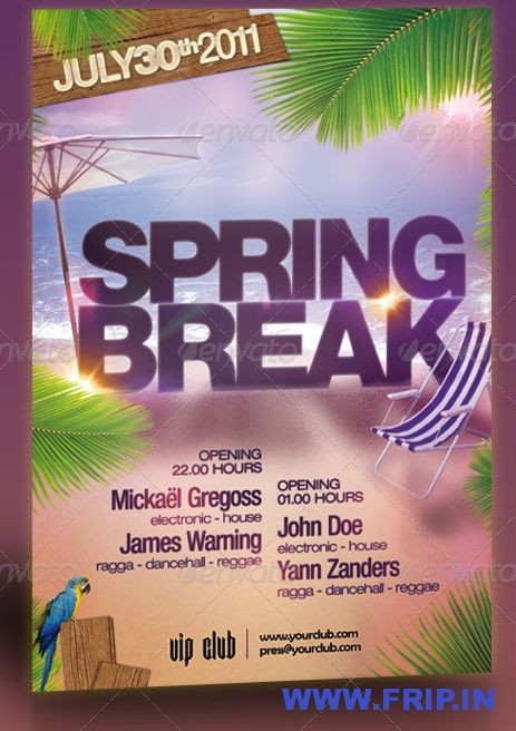 Spring Break Party Flyer - Frip.in