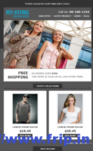 Best 40 Shopping eCommerce Email Templates - Frip.in