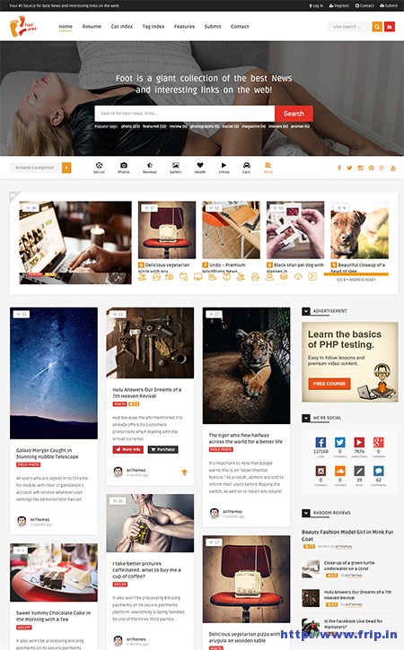 5 Best Content Sharing WordPress Themes 2025 - Frip.in