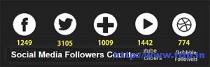 20+ Best WordPress Social Media Widget Plugin 2015 | Frip.in