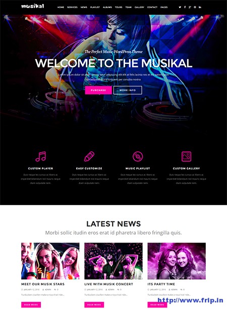 Musikal-One-Page-Music-WordPress-Theme - Frip.in