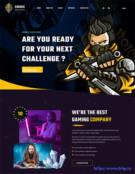 20+ Best WordPress Gaming Themes 2021 | Frip.in
