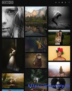 15+ Best WordPress Portfolio Themes 2025 For Designers - Frip.in