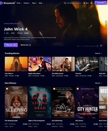 10 Best Video Streaming WordPress Themes 2026 - Frip.in