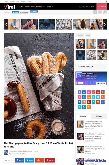40 Best Free WordPress Blog Themes 2021 | Frip.in