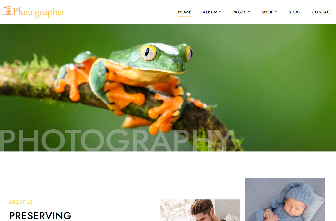 WordPress Photographer Theme By Templatic Themes - Frip.in
